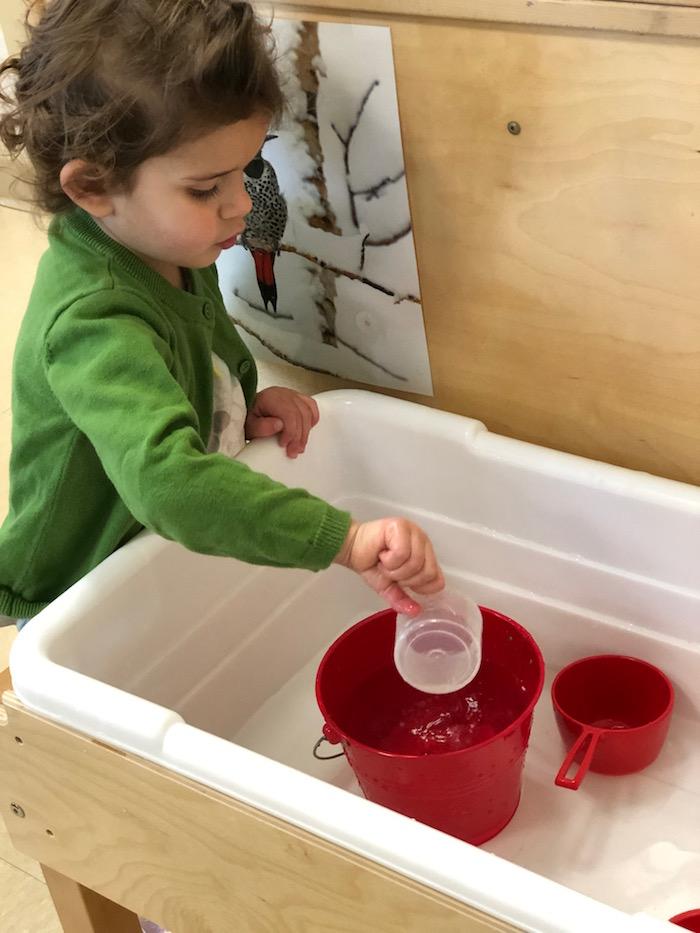 Water and the Montessori Toddler
