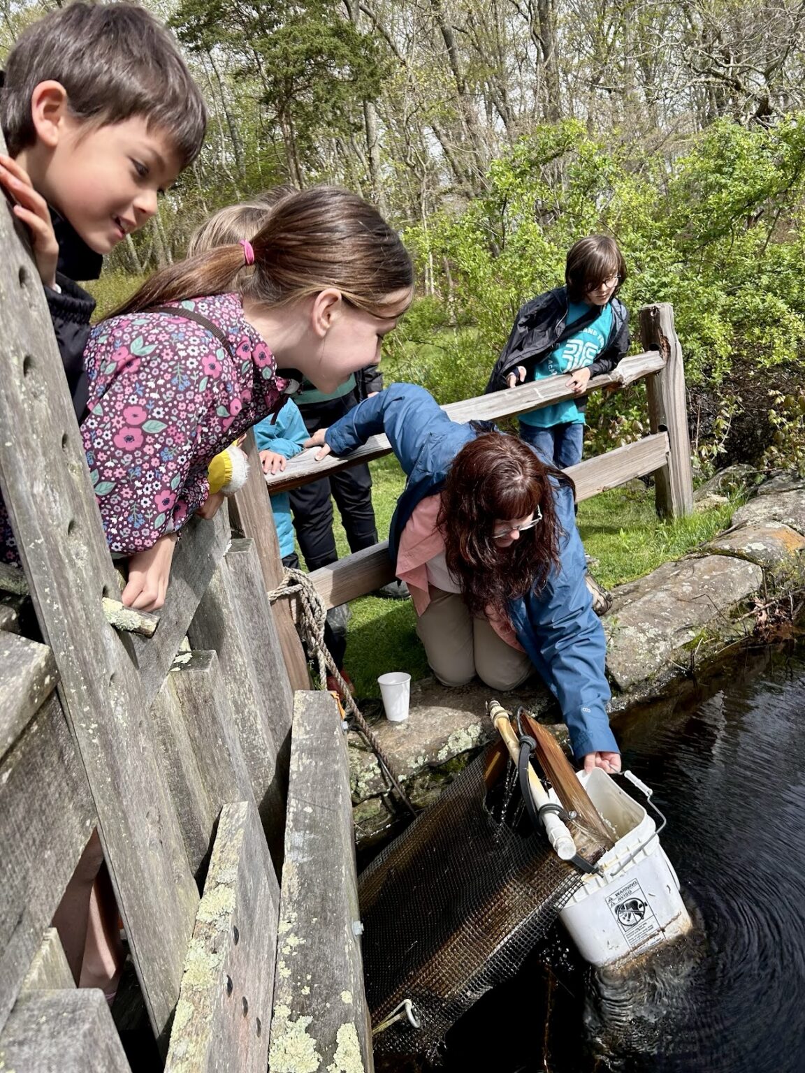 Lower Elementary Montessori School (Grades 1-3)